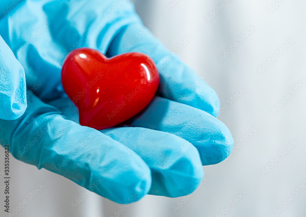 The hand wearing a blue medical glove holding a red heart model ...