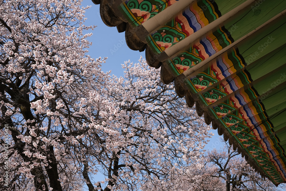 Kyeongbokgung Palace (Main Royal Palace of Joseon Dynasty) and its ...