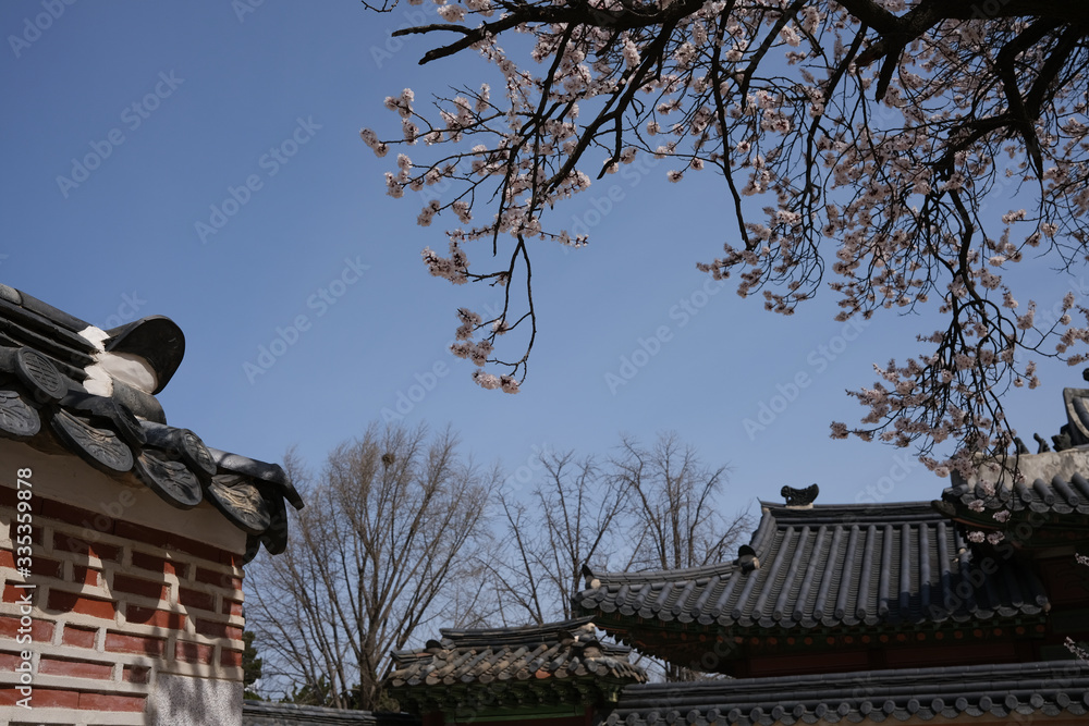 Kyeongbokgung Palace (Main Royal Palace of Joseon Dynasty) and its ...
