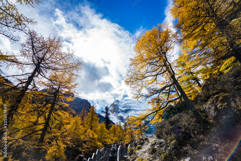 Nature landscape river in pine forest mountain valley,Snow Mountain in ...