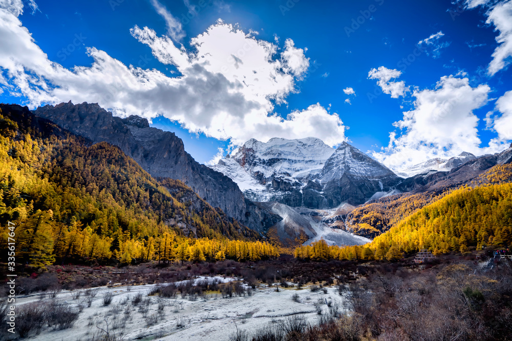 Nature landscape river in pine forest mountain valley,Snow Mountain in ...
