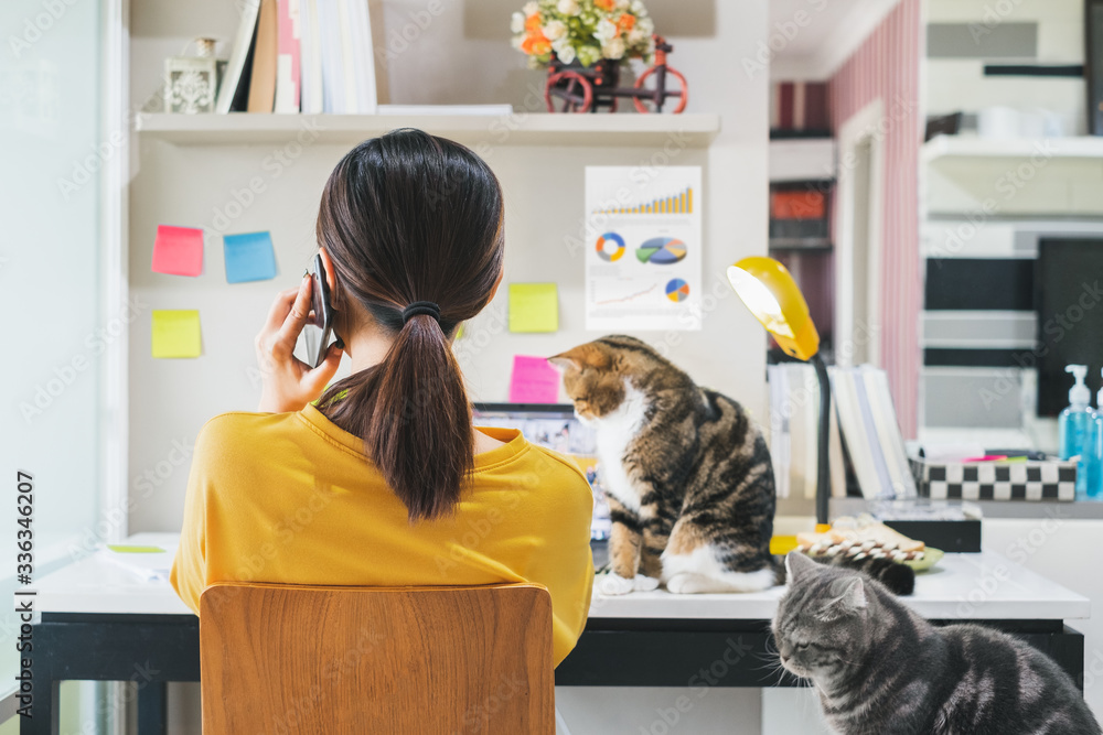 Young Asian woman working from home due to coronavirus covid-19 ...