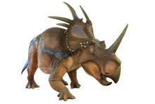 Styracosaurus Free Stock Photo - Public Domain Pictures