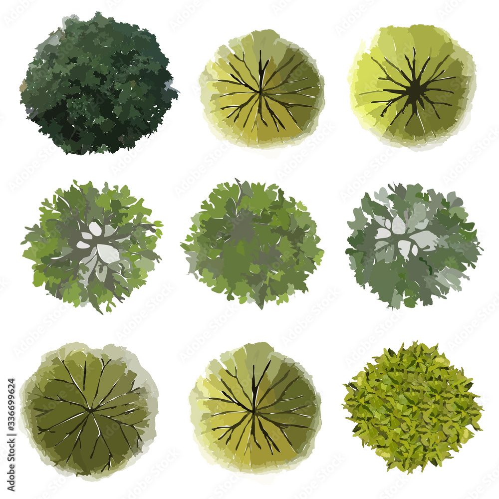 Set of tree top view isolated for landscape plan Stock-illustration ...