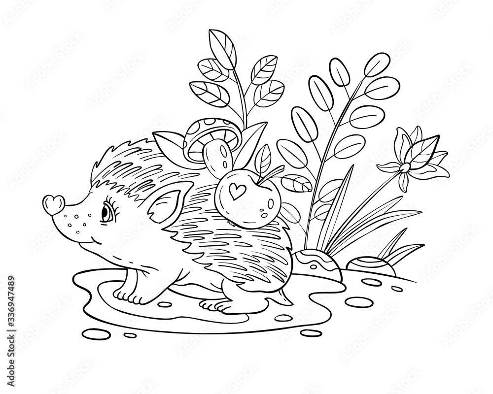 Vector coloring page with baby hedgehog, plants, apples, mushrooms ...