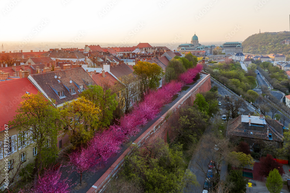 Europe Hungary Budapest. The famous Buda Castle Royal Palace on a ...