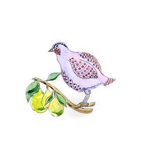 Partridge In A Pear Tree Free Stock Photo - Public Domain Pictures