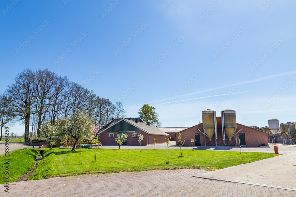 Large chicken farm with indoor facilites for poulry breeding and egg ...