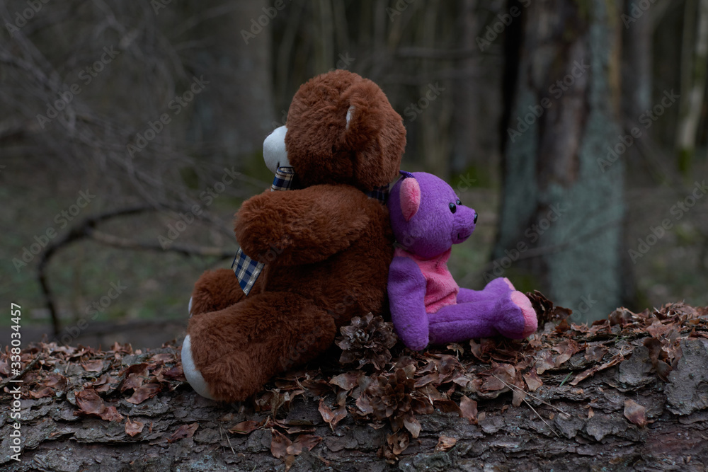 Purple and brown teddy bears are sitting with their backs to each other ...
