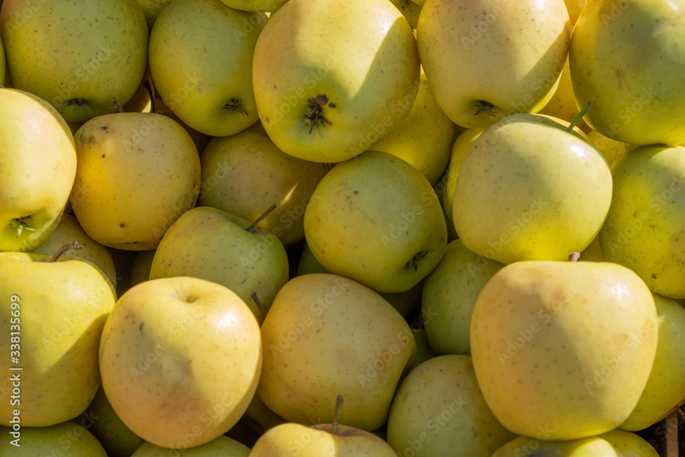 Multi-colored apples in a box. Selling crops on the market. Natural ...
