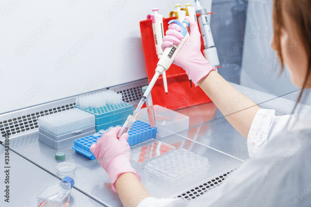 Woman researcher scientist works with electronic pipettes and chemical ...