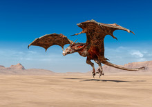 Dragon Taking Off Free Stock Photo - Public Domain Pictures