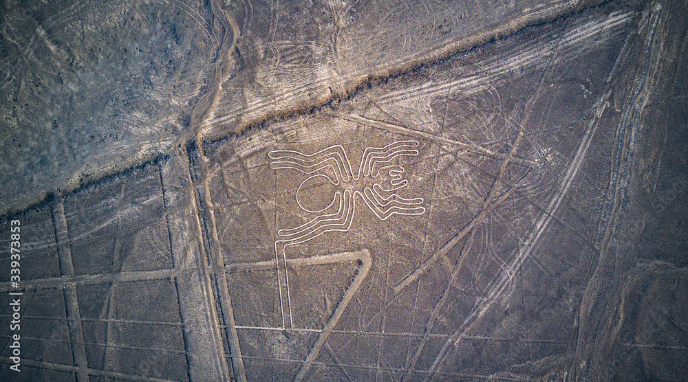 Aerial top down view on "the Spider" one of the Nazca lines. Mysterious ...