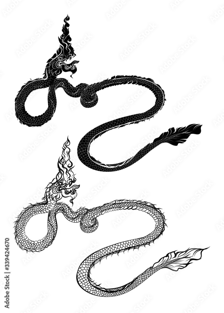 Hand drawn Thai Naga snake vector printing.Japanese old dragon for ...