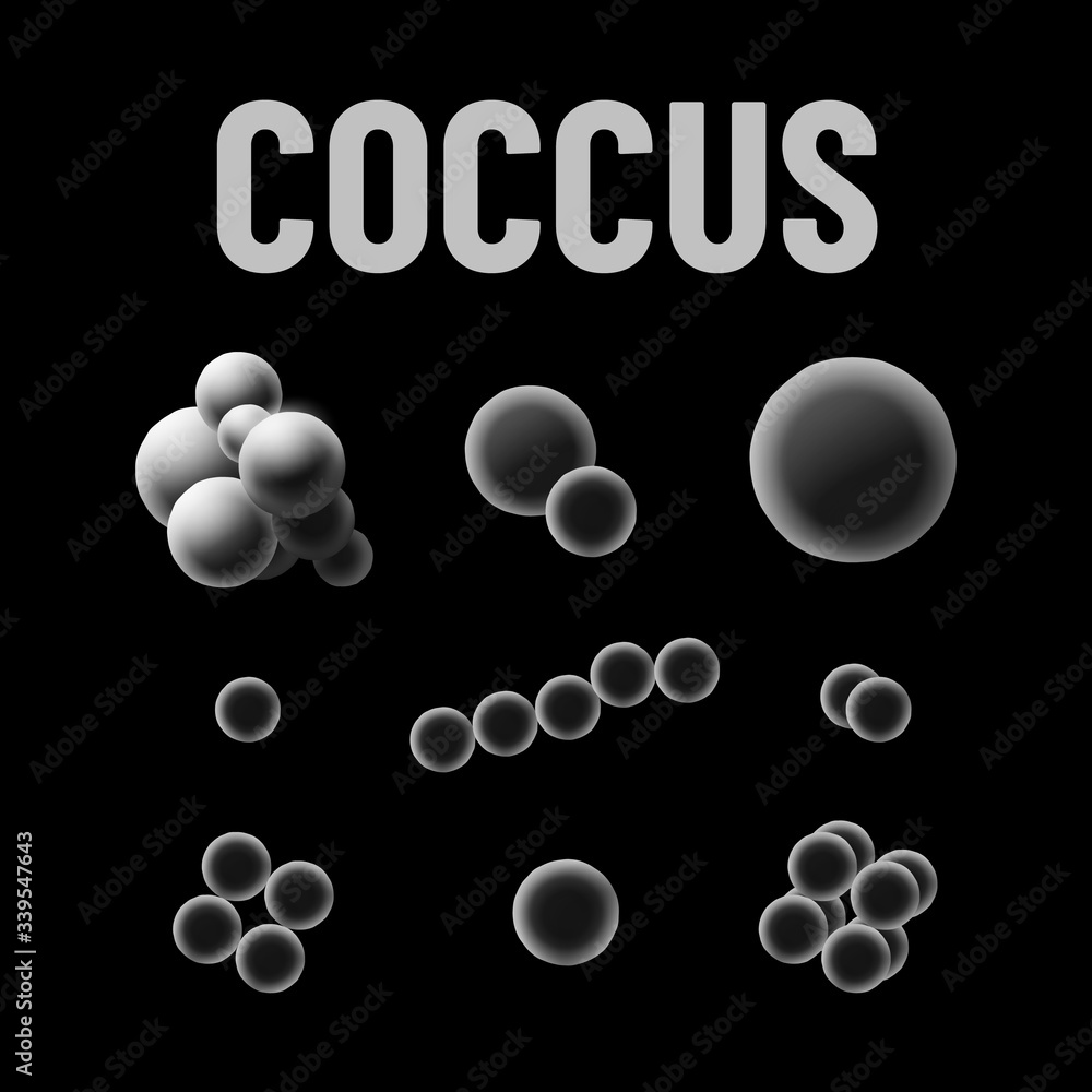 Coccus bacteria types monochrome vector illustration on black ...