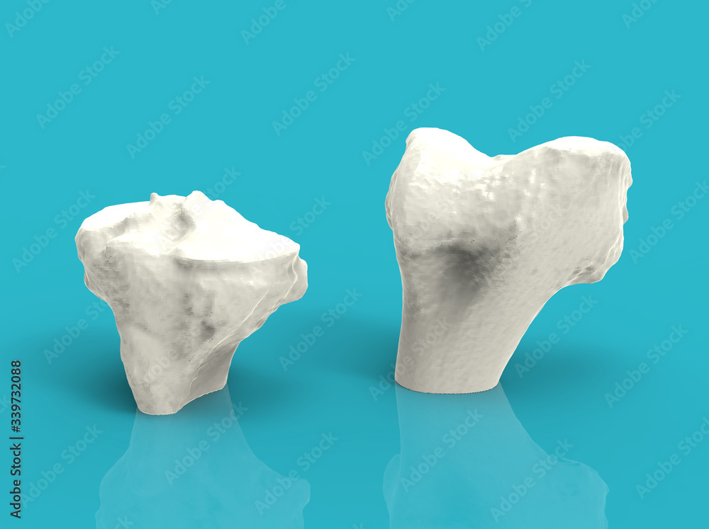 Model of human bones of the knee, femur and tibia, 3D render 素材庫插圖 ...