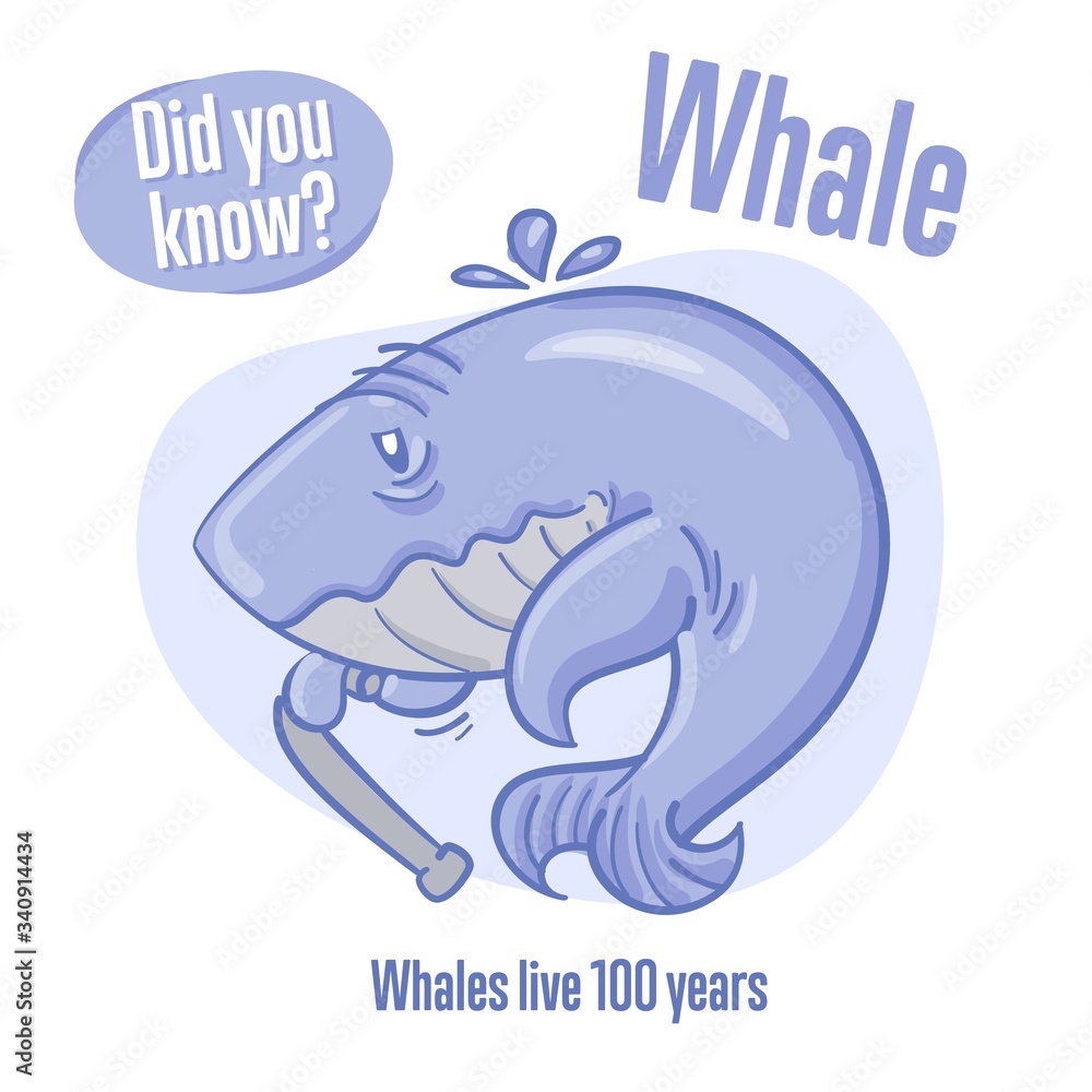 Whale. Interesting facts about sea animals. Did you know? Stock Vector ...