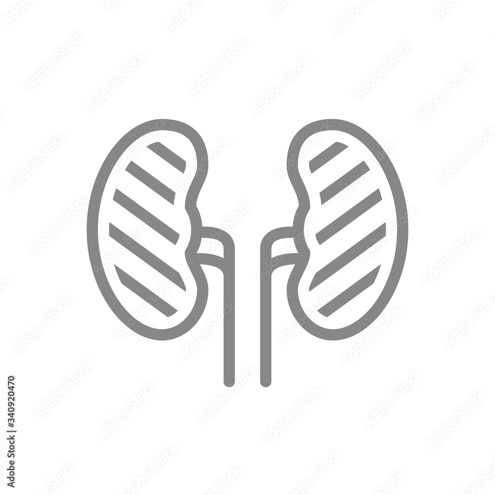 Sore human kidneys line icon. Renal cysts, kidney stones, ureteral ...