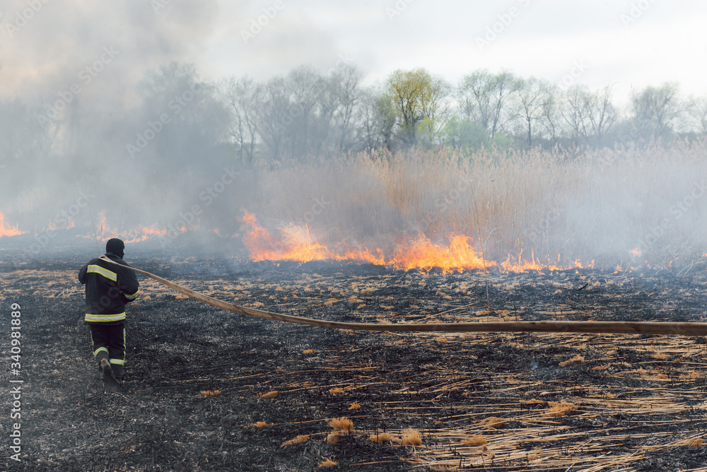 firefighters spray water to wildfire. Fireman working hard to put out ...