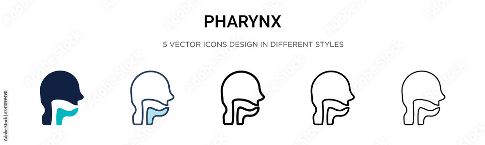 Pharynx icon in filled, thin line, outline and stroke style. Vector ...