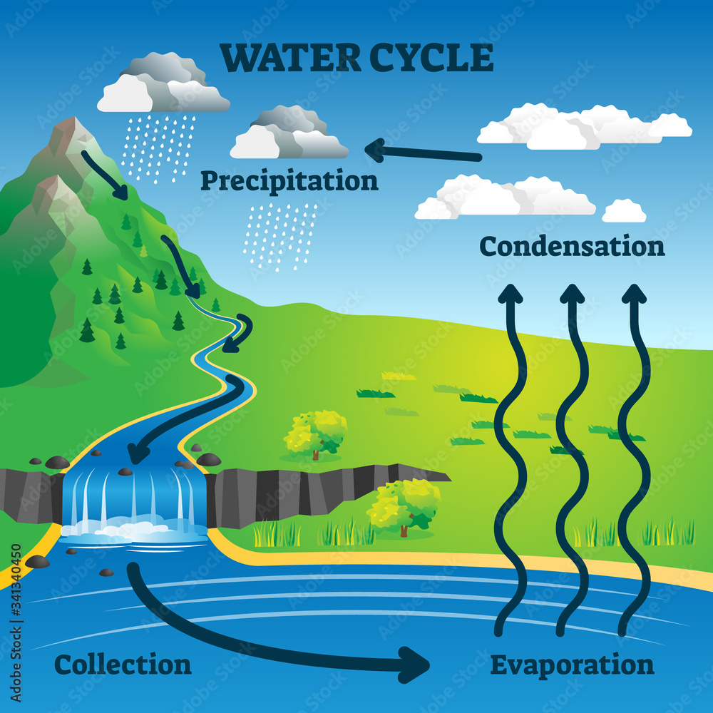 Water cycle vector illustration. Labeled earth hydrologic process ... Water cycle vector illustration. Labeled earth hydrologic process ...
