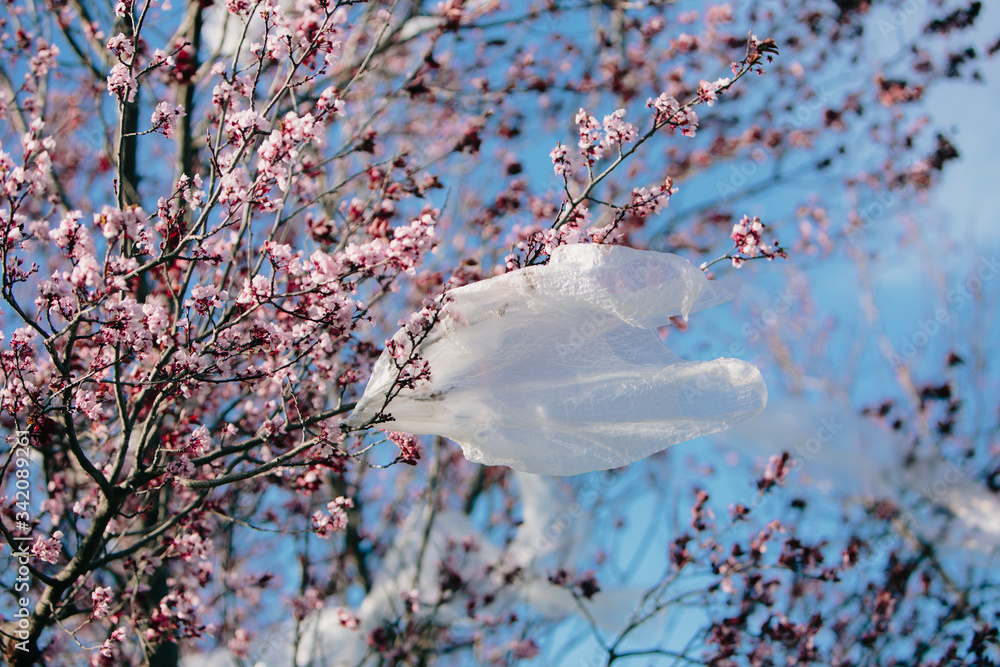 From below transparent plastic material waving on wind while hanging on ...