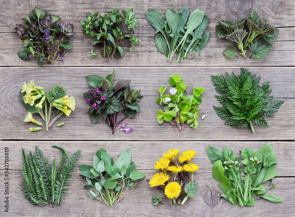 Edible plants and flowers, fresh spring harvest on a wooden rustic ...