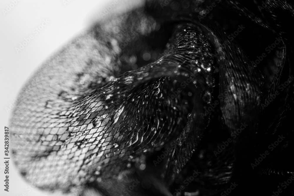 Background and backsplash of wet net with moist crystal water drops ...