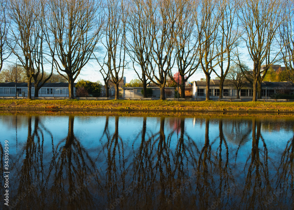 Beautiful reflection of trees in Wilhelminakanaal Oosterhout, the ...
