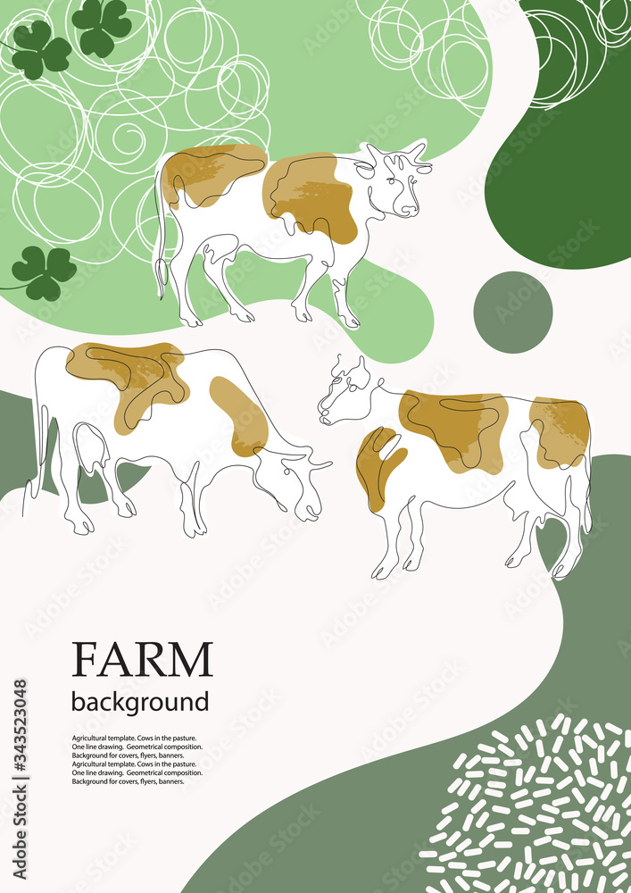 Cows are drawn in one line. Sample brochure. Agricultural background ...