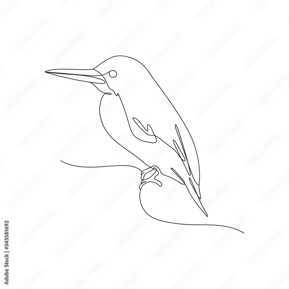 Continuous line drawing kingfisher bird Stock Vector | Adobe Stock