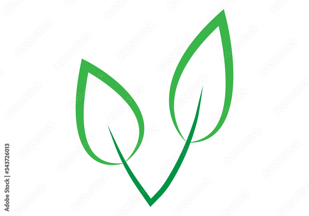 Vector de Stock Dibujo de hojas verdes sobre fondo blanco. | Adobe Stock