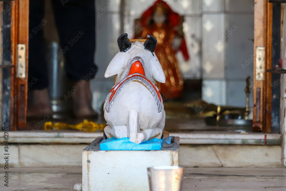 Nandi in front of a Shiv temple, from inside the temple, selective ...