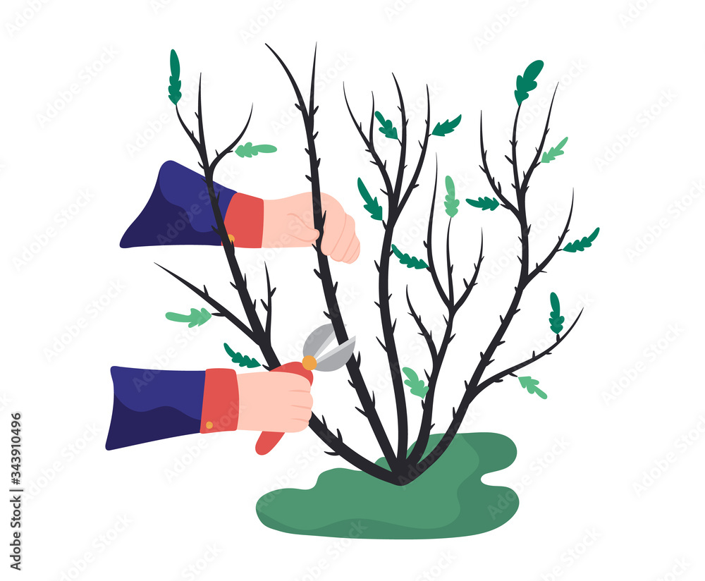 Vector de Stock Cutting bush in kitchen garden and kaleyard concept and ...