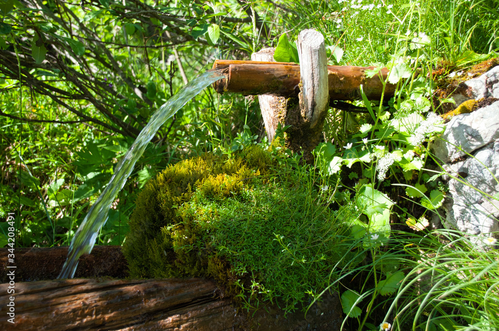 Foto de Stock eine quelle mit holztrog am rande eines wanderweges in ...