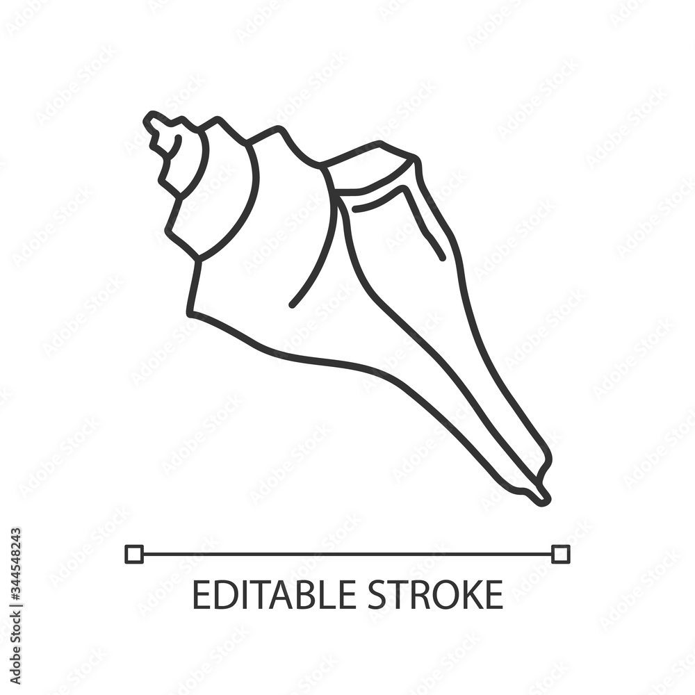 Triton shell pixel perfect linear icon. Exotic ocean conch, conchology ...