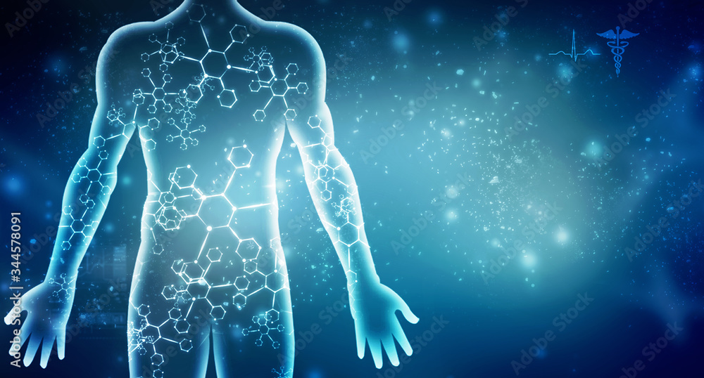 2d illustration Human Male Muscle Body Stock Illustration | Adobe Stock