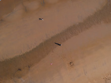 Duplicate Of Bird In Flight Free Stock Photo - Public Domain Pictures