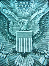 Eagle Frame Free Stock Photo - Public Domain Pictures