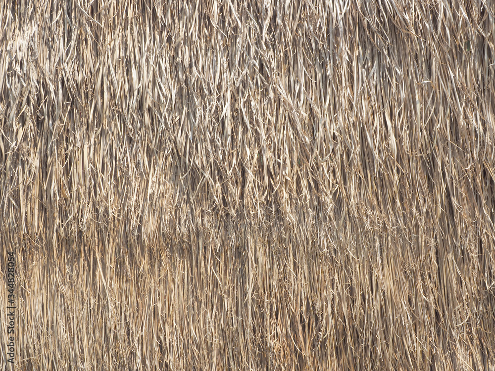 Thatch roof background.Straw pattern background. Stock Photo | Adobe Stock