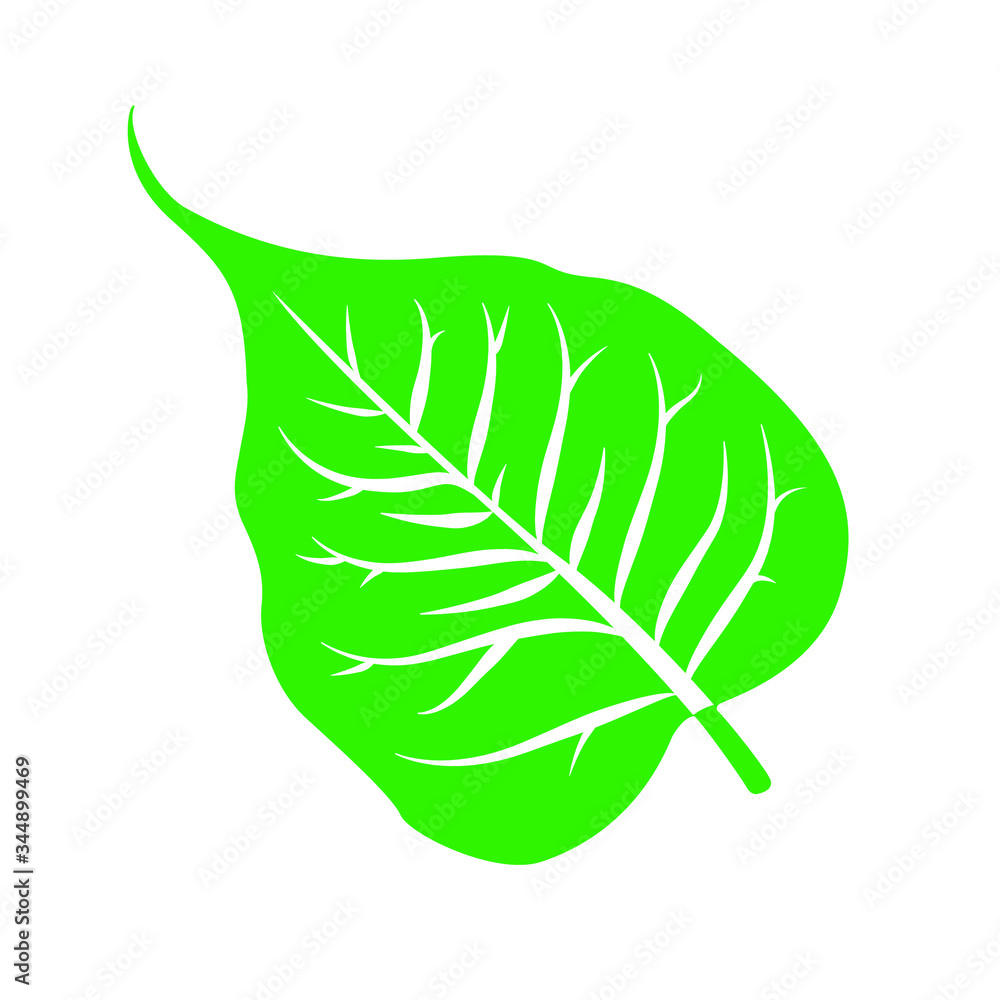 green bodhi leaf Stock Vector | Adobe Stock