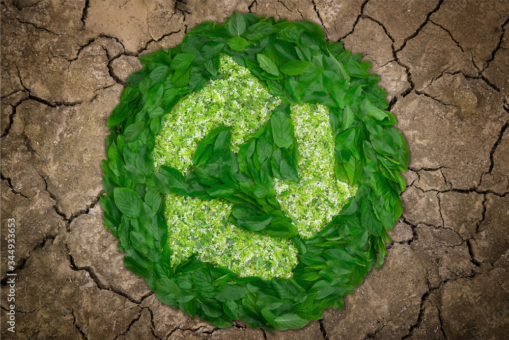 Ecology sign laid out by green leaves on cracked earth. Arrows from the ...