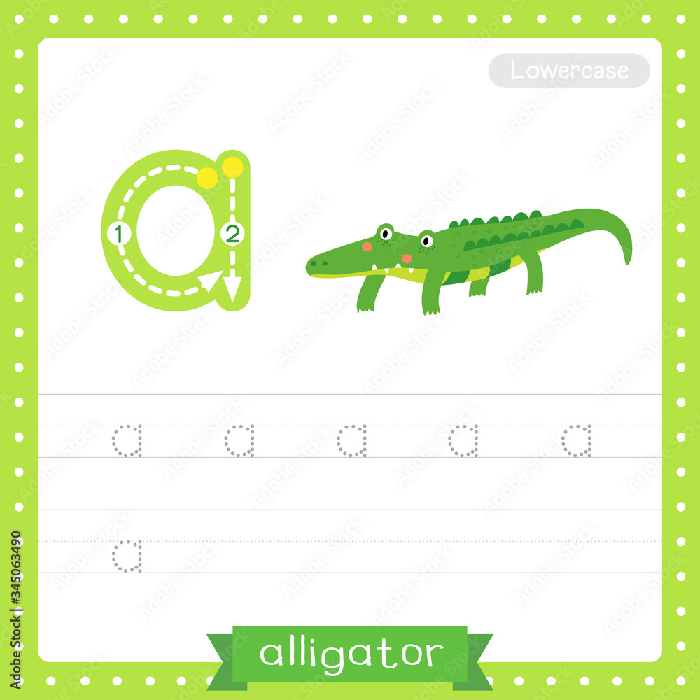 Letter A lowercase tracing practice worksheet. Alligator Stock Vector ...