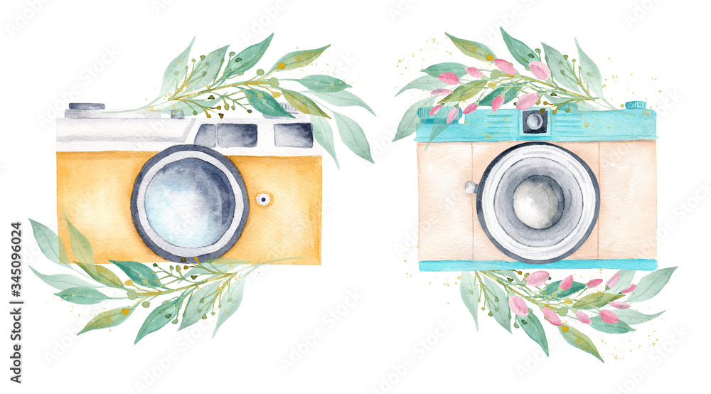 Pastel color watercolor vintage retro cameras and greenery leaves. Hand ...