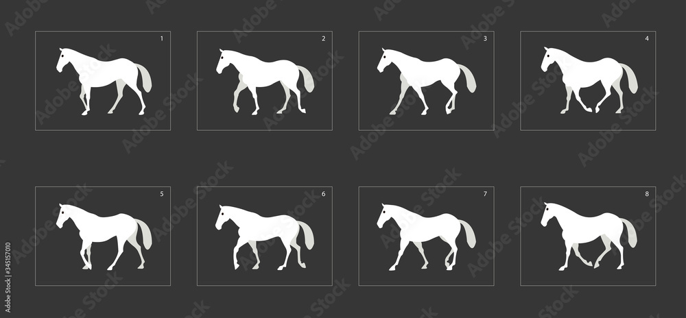Horse Trot Cycle