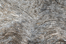 Ripple Driftwood Background Free Stock Photo - Public Domain Pictures