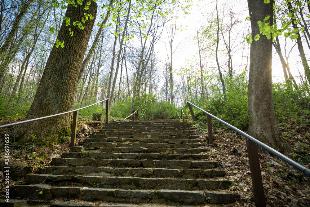 Hacklebarney State Park a pair of stairs to enter the park . Trees and ...