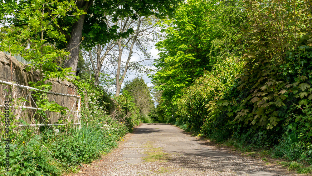 Rural country farm path with lush trees and vegetation either side and ...
