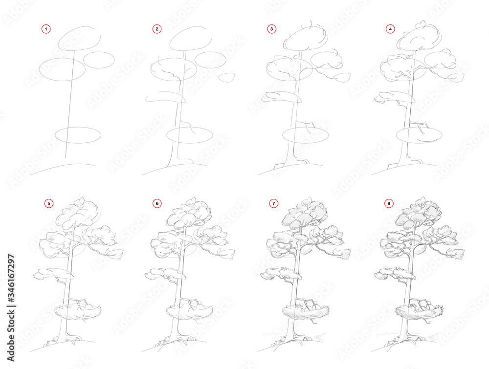 How to draw sketch of pine tree. Creation step by step pencil drawing ...