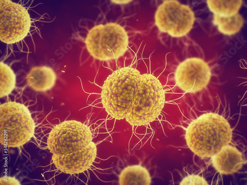 Gonorrhea Also Known As The Clap Is A Sexually Transmitted Disease